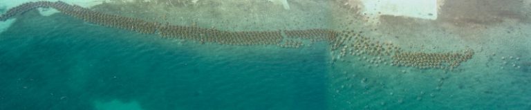 What is a Reef Ball? - Reef Ball Foundation
