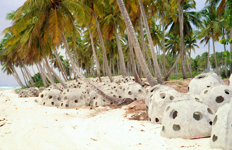 What is a Reef Ball? - Reef Ball Foundation