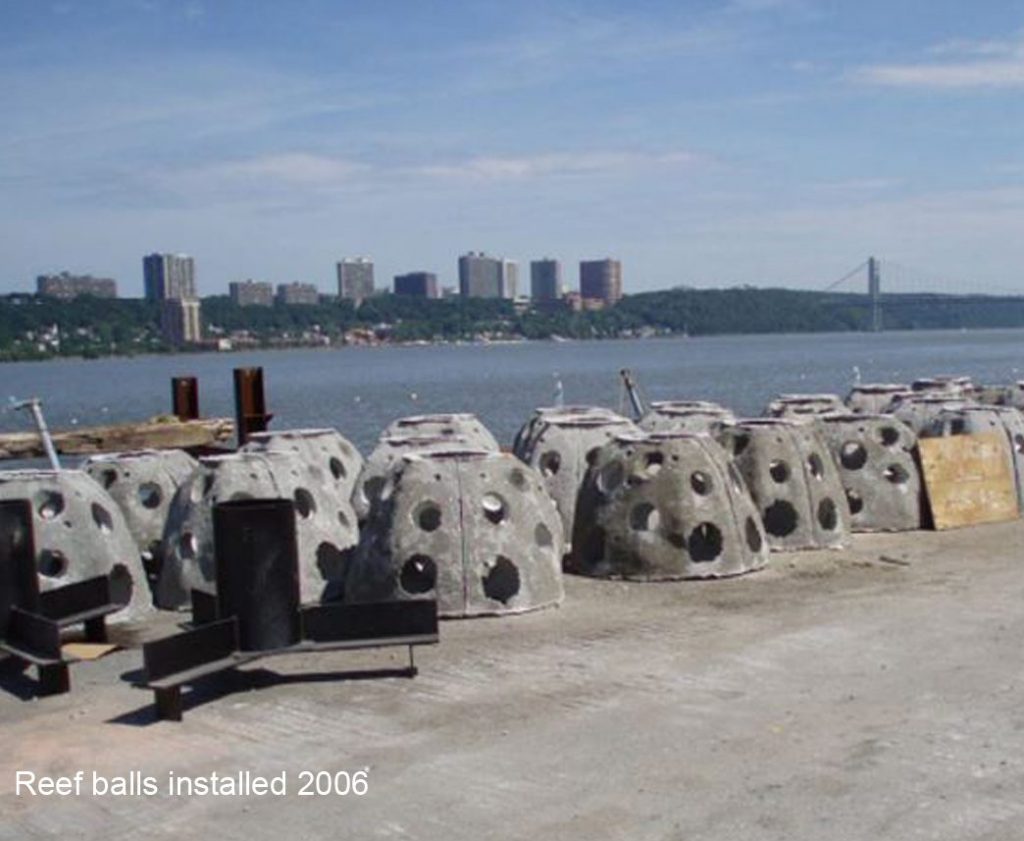 Project Updates Page - Reef Ball Foundation